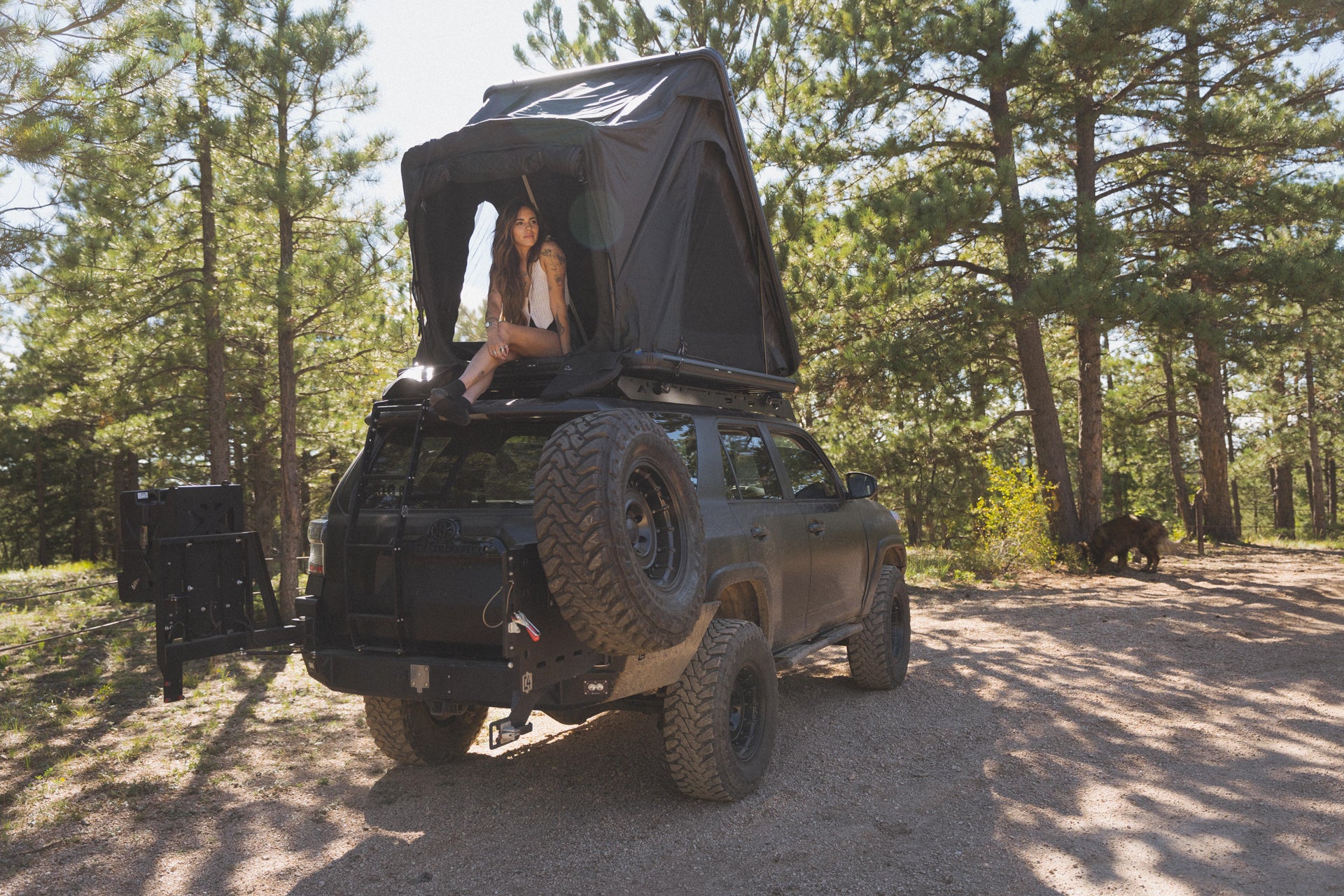 Nomad Wheels – DC Wheels - Nomad